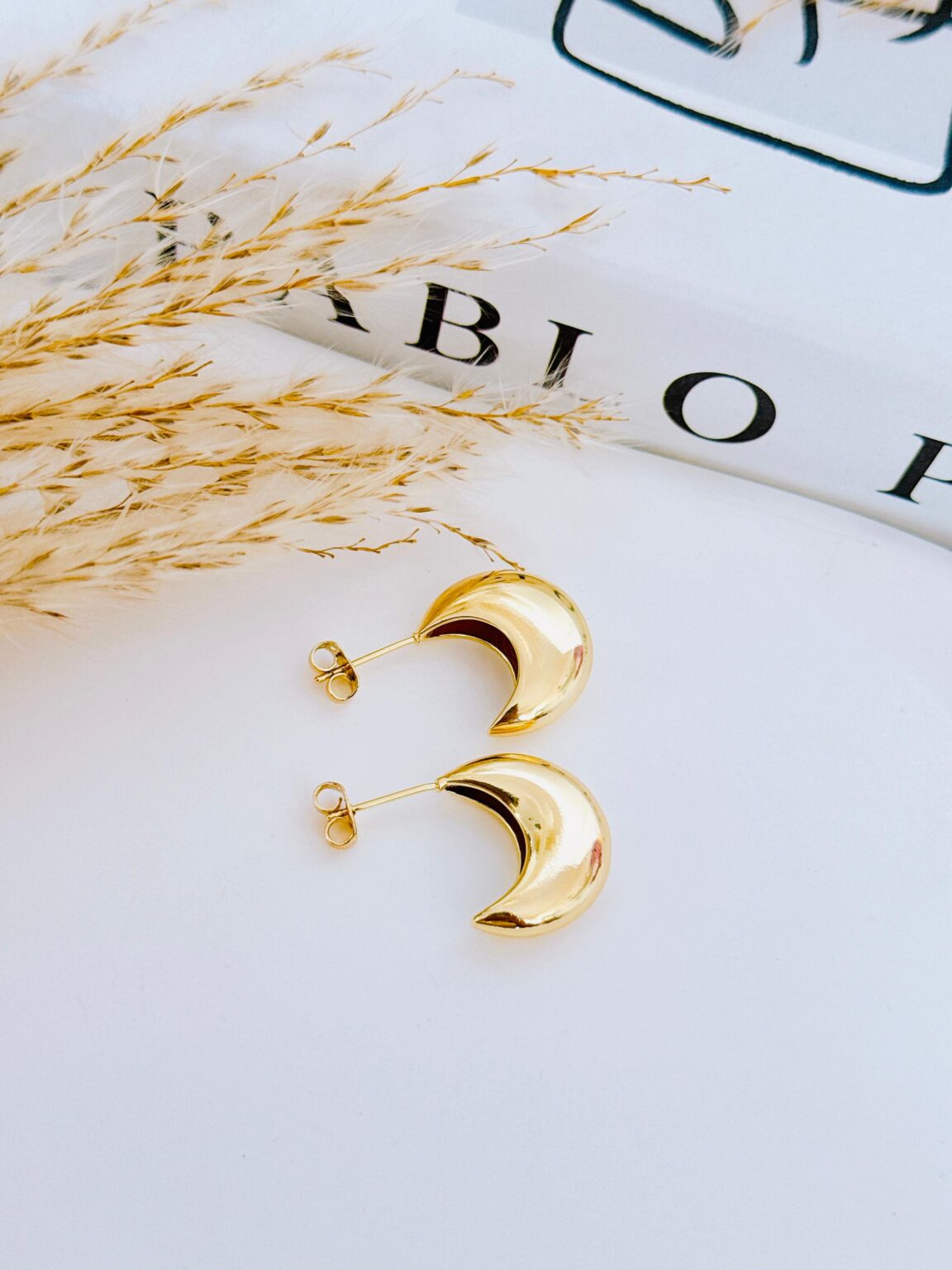 ARETE MEDIA LUNA🌙 – Frida Joyería